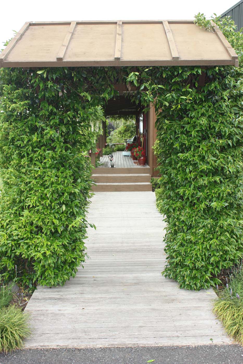 Michelle McDonnell Landscape Design
